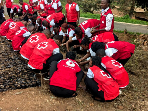 Rwanda Red Cross Youth Mark World First Aid Day 2025 with Tree Planting ...