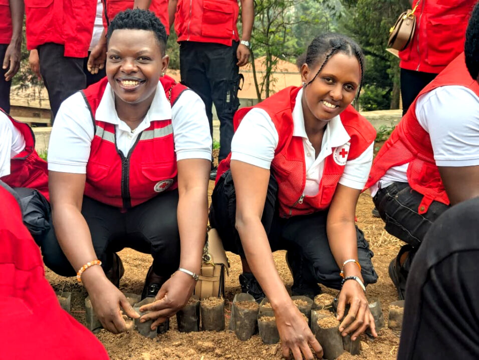 Rwanda Red Cross Youth Mark World First Aid Day 2025 with Tree Planting ...