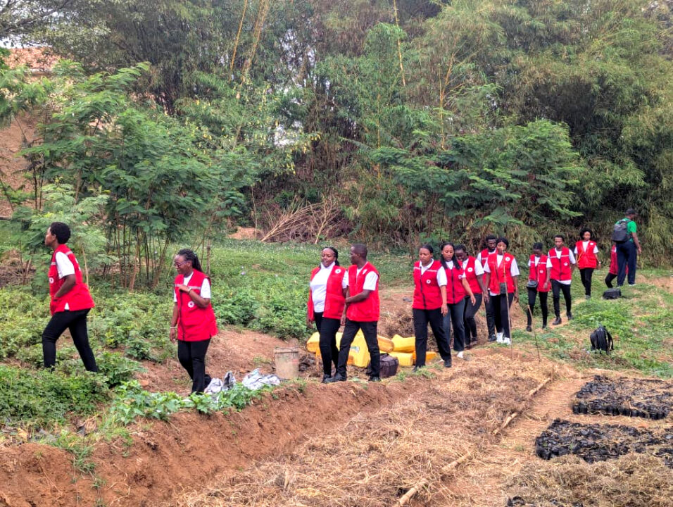 Rwanda Red Cross Youth Mark World First Aid Day 2025 with Tree Planting ...