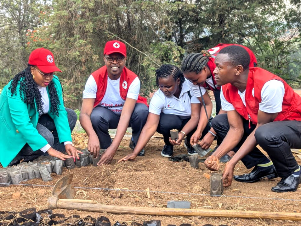 Rwanda Red Cross Youth Mark World First Aid Day 2025 with Tree Planting ...