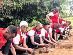 Rwanda Red Cross Youth Mark World First Aid Day 2025 with Tree Planting ...
