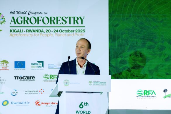 Belgium’s role in Rwanda’s 1994 Genocide – KT PRESS