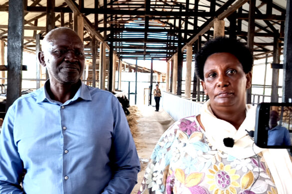 President Kagame Appoints New Prime Minister – KT PRESS