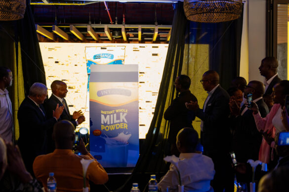 Rwanda Energy Group Reappoints Ron Weiss CEO of REG - KT PRESS