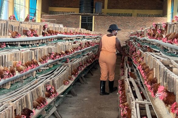 Cabinet Approves the 2nd National Strategy for Transformation (NST2 ...