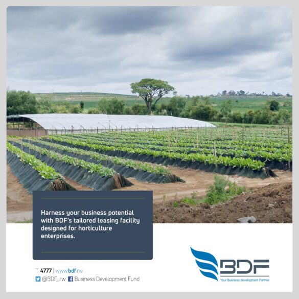 BRD to Fully Absorb BDF Services in Major Financial Sector Transition ...